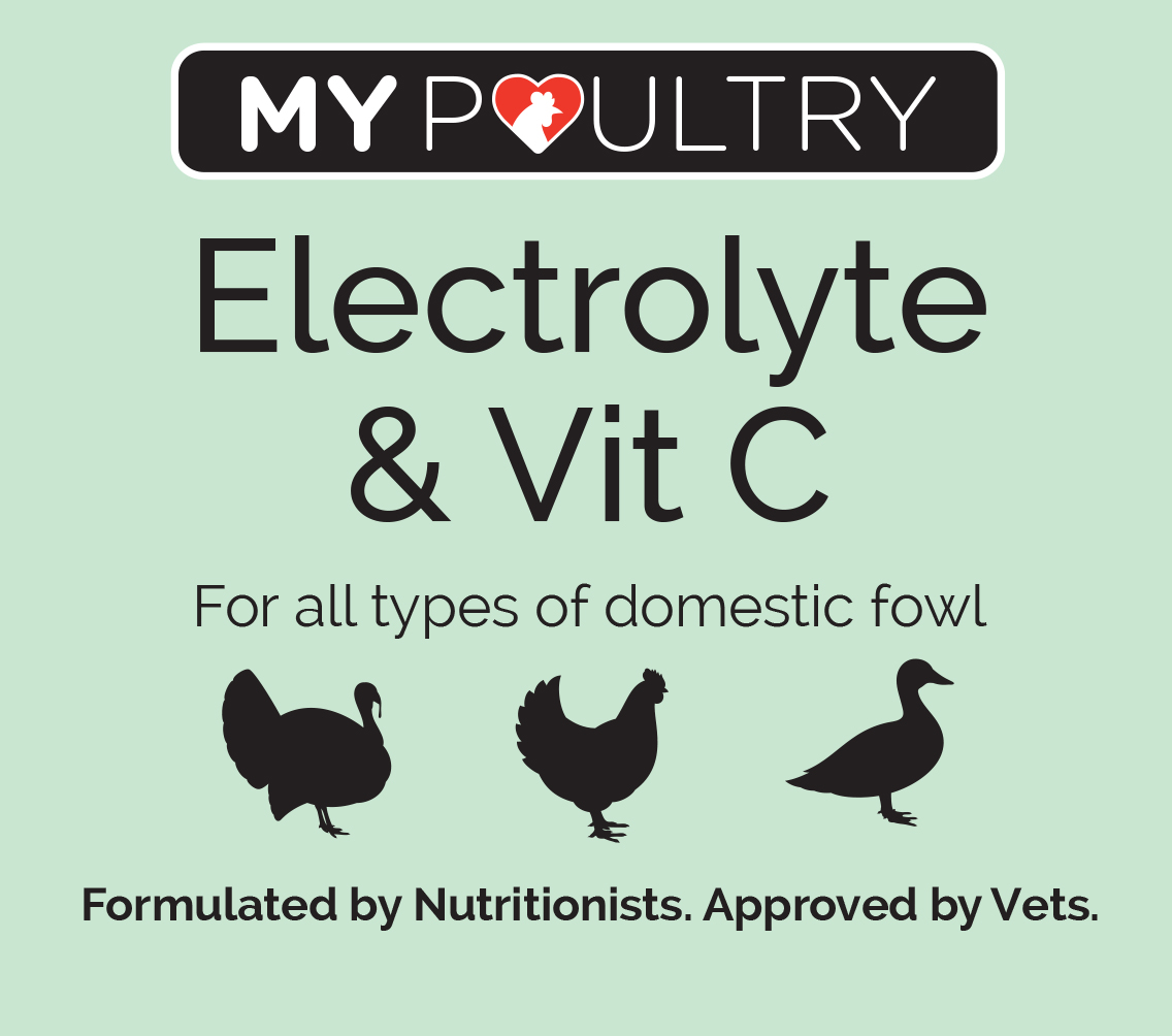My Poultry – Agrihealth – Animal Health & Equipment Wholesaler | Veterinary and Laboratory Services